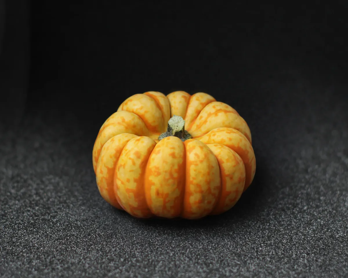 Realistic Pumpkin (3D scan) by Crafty Sven | Download free STL model ...