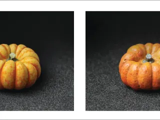 Realistic Pumpkin (3D scan) by Crafty Sven | Download free STL model ...