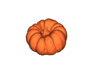 Realistic Pumpkin (3D scan) by Crafty Sven | Download free STL model ...
