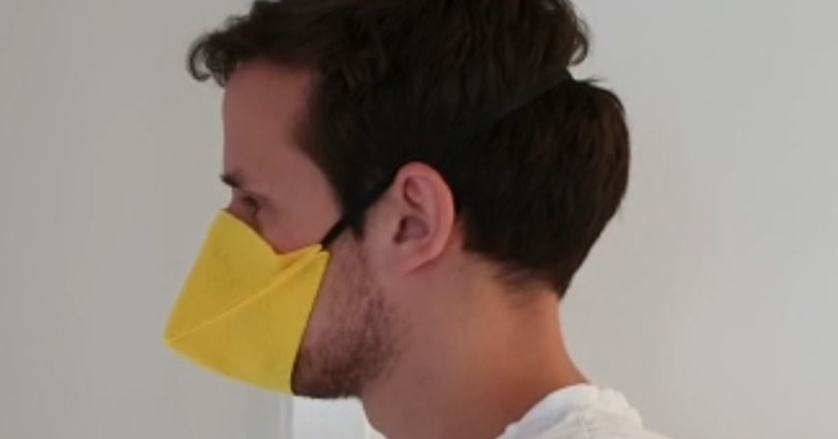 #SFM Simple Face Mask by Al & Mic | Download free STL model ...