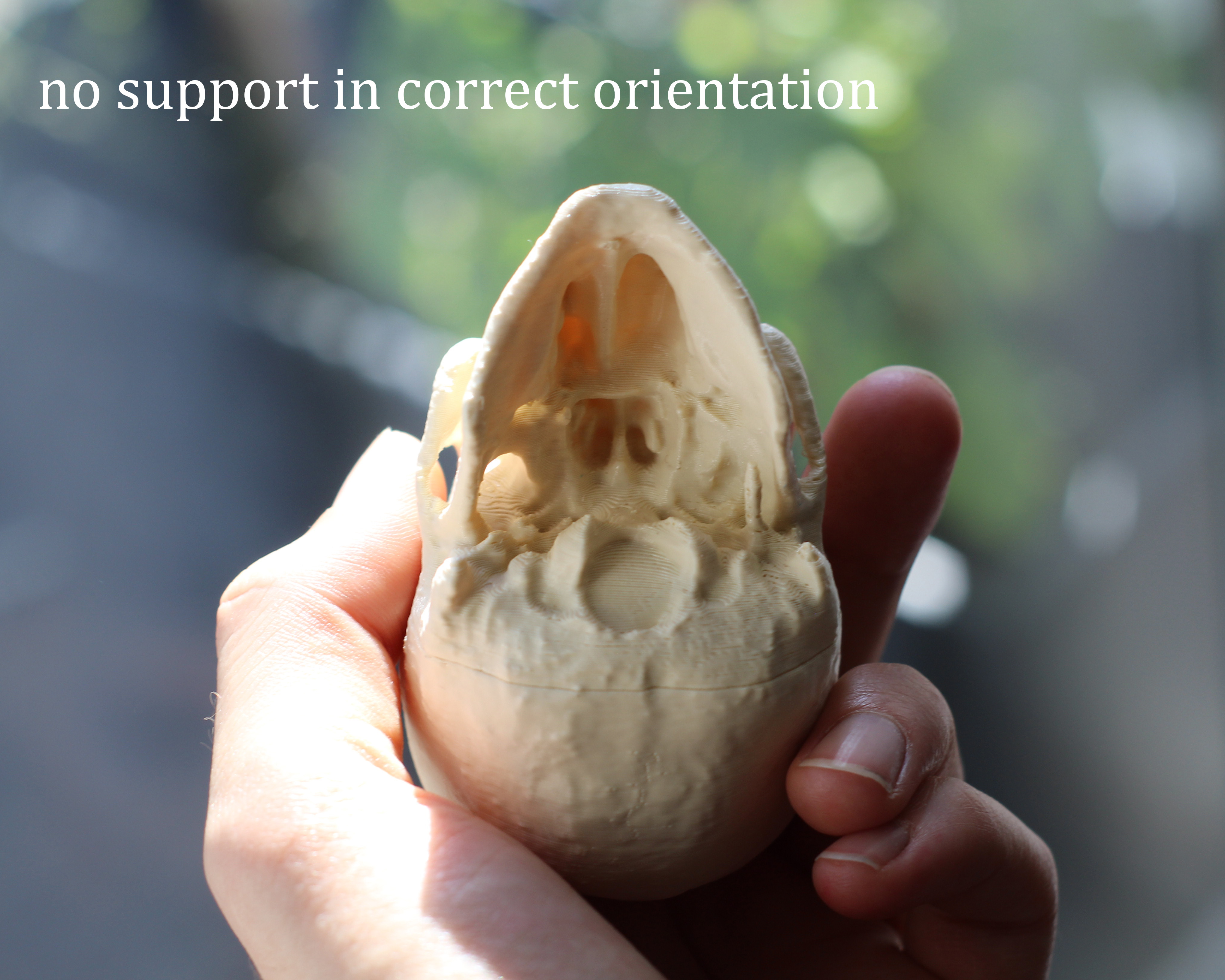 Skull Scan by Crafty Sven | Download free STL model | Printables.com