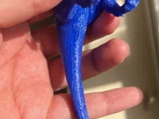 Buff T-Rex by Ahmad | Download free STL model | Printables.com