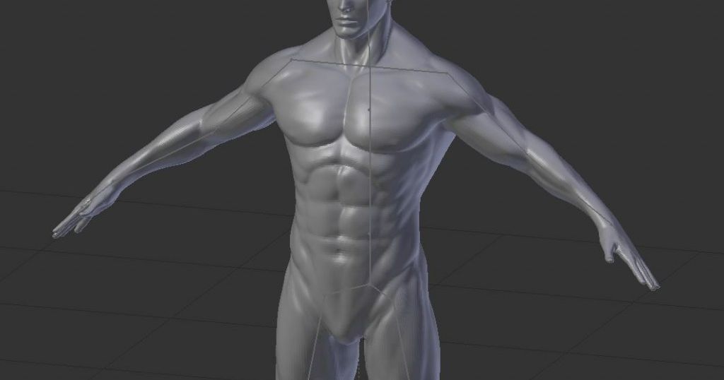 Human Male Base Mesh with armature by Books | Download free STL model | Printables.com