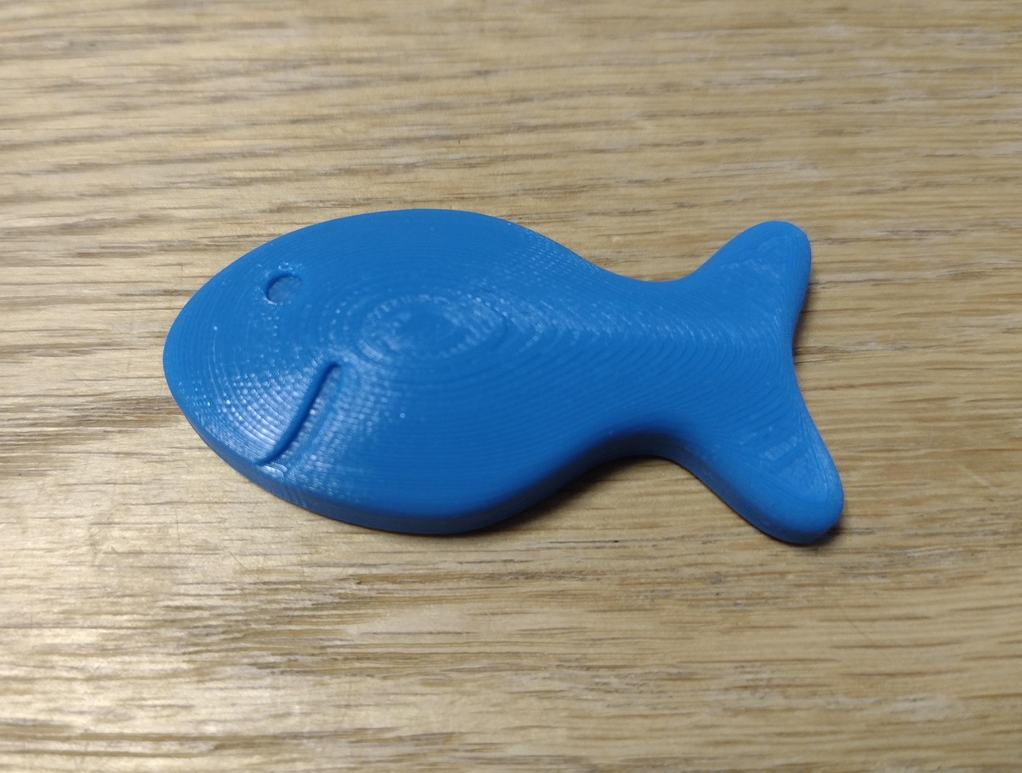 Remix: Fish Refrigerator Magnet with 8x3mm Magnet by CAD-Guy | Download ...