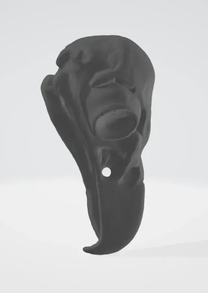 Assassins creed Bird Skull by Benbenshow | Download free STL model ...