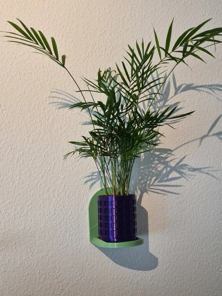 Plant to wall by Matt-G | Download free STL model | Printables.com