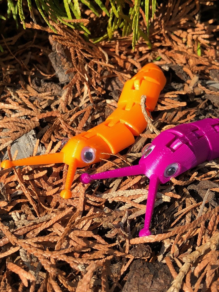 Googly Slug by 3DPrintDad | Download free STL model | Printables.com