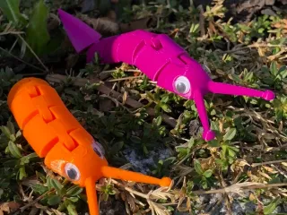Googly Slug by 3DPrintDad | Download free STL model | Printables.com