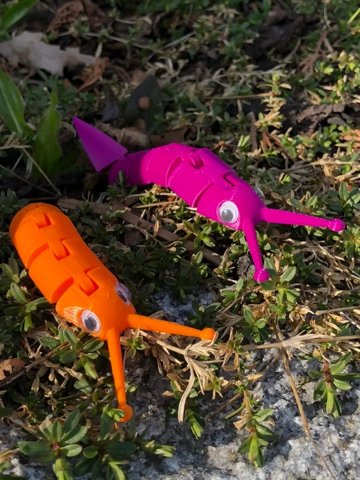 Googly Slug by 3DPrintDad | Download free STL model | Printables.com