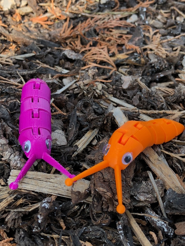 Googly Slug by 3DPrintDad | Download free STL model | Printables.com
