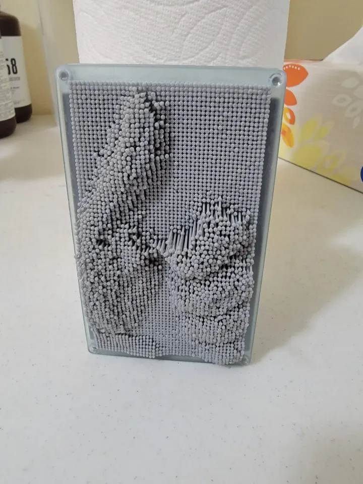 Pin Print Toy