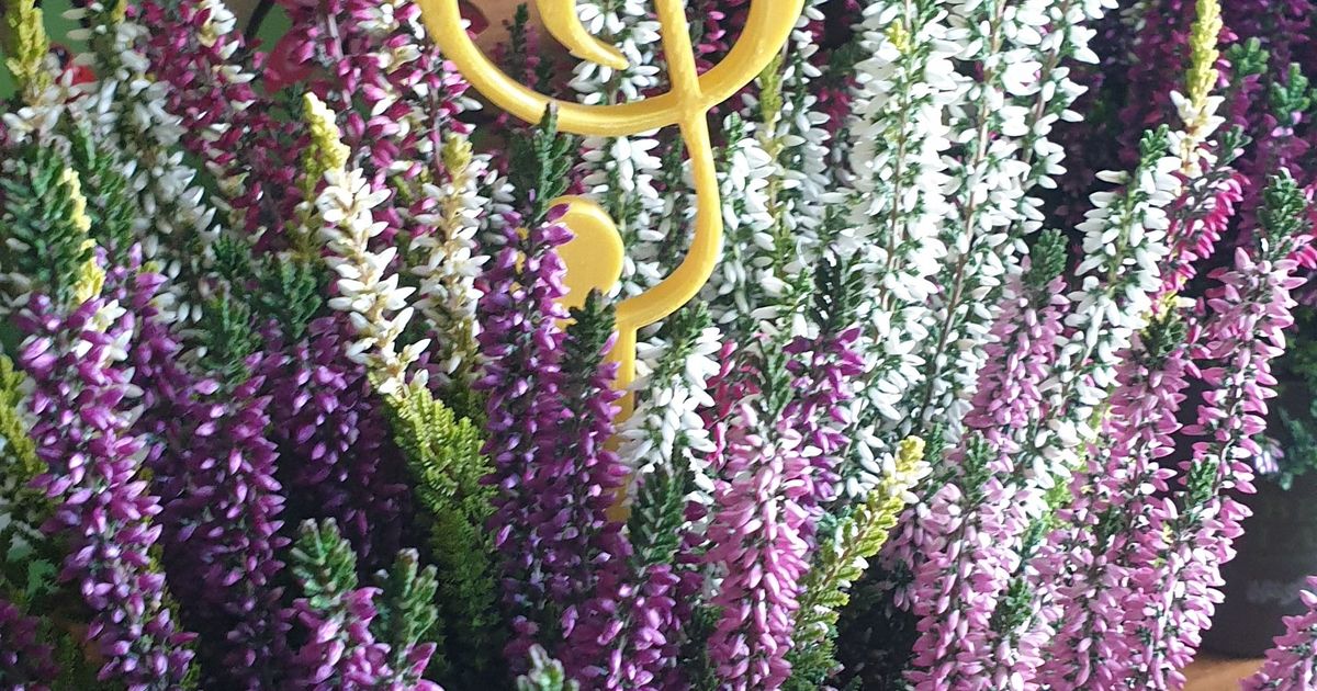 Treble clef topper by zbigu73 | Download free STL model | Printables.com