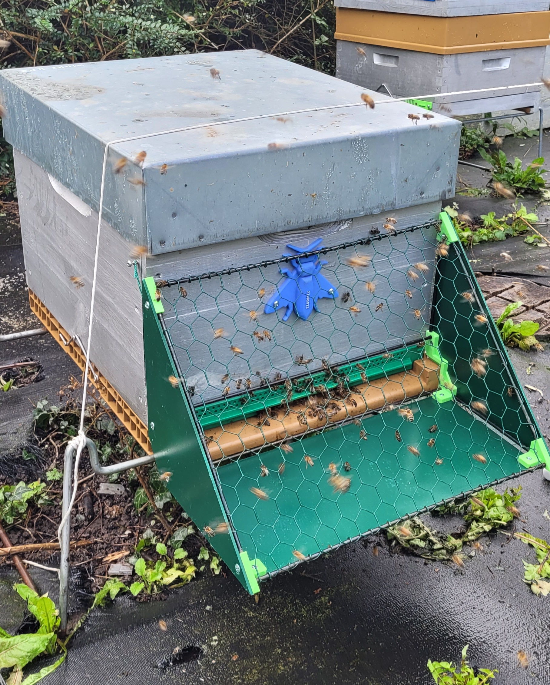 Entrance protection for bees by Thoragrim | Download free STL model ...