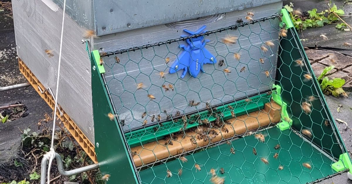 Entrance protection for bees by Thoragrim | Download free STL model ...