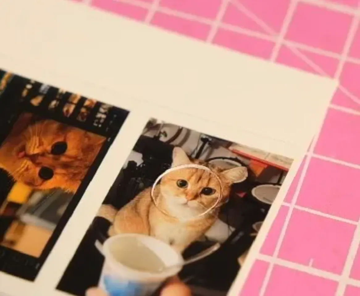 paper circle cutter by MINI_EGG | Download free STL model | Printables.com