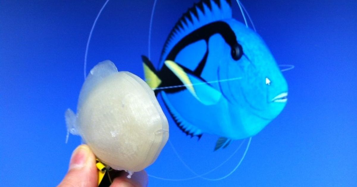Print this Fish: 3D Printing Challenge by DesignMakeTeach | Download ...