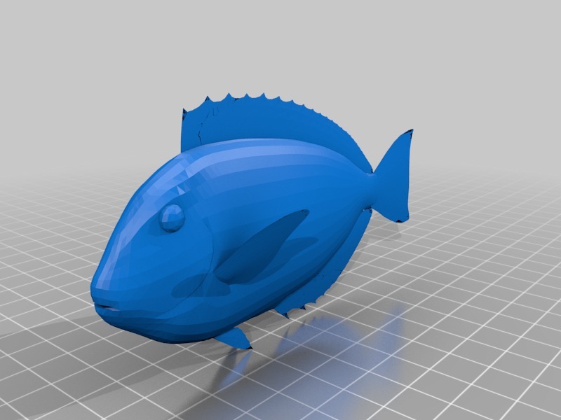 Print this Fish: 3D Printing Challenge by DesignMakeTeach | Download ...