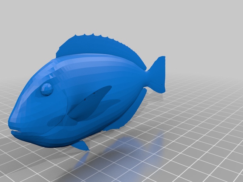 Print this Fish: 3D Printing Challenge by DesignMakeTeach | Download ...