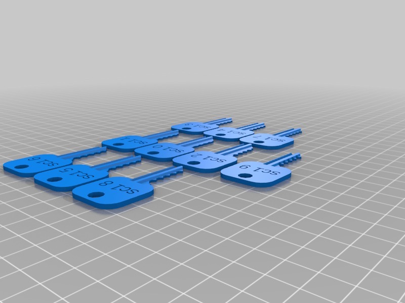 Schlage SC1 5 Pin house key w/label (Plus depth key files) by ...