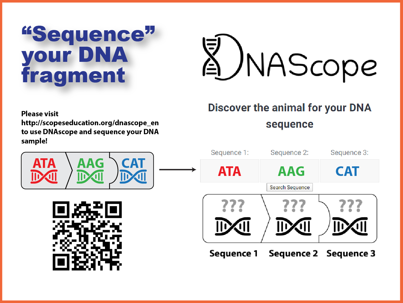 DNAscope: Learn about DNA by Robert | Download free STL model ...