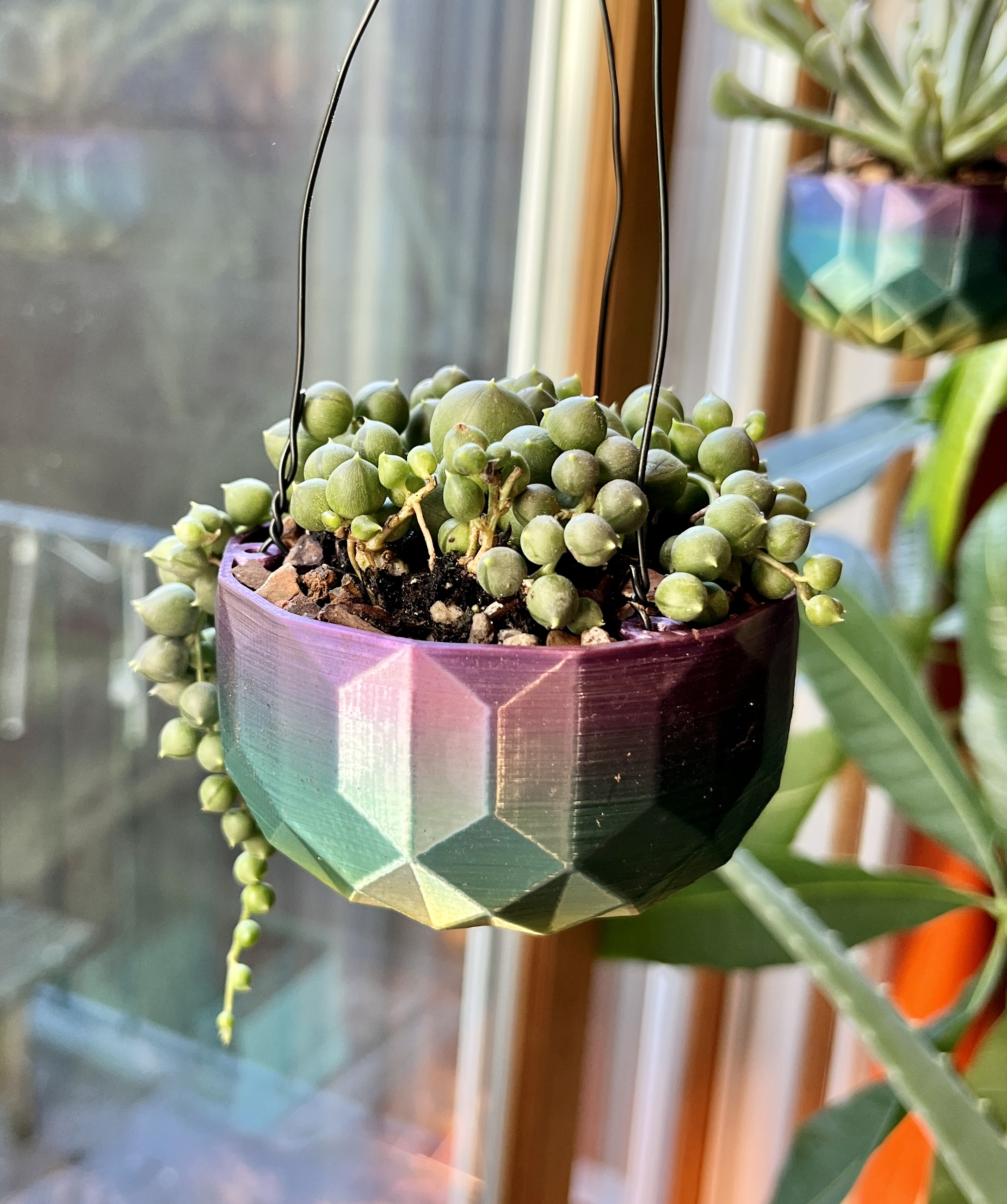 Faceted low poly hanging planter - 3 sizes by Rawlus | Download free ...