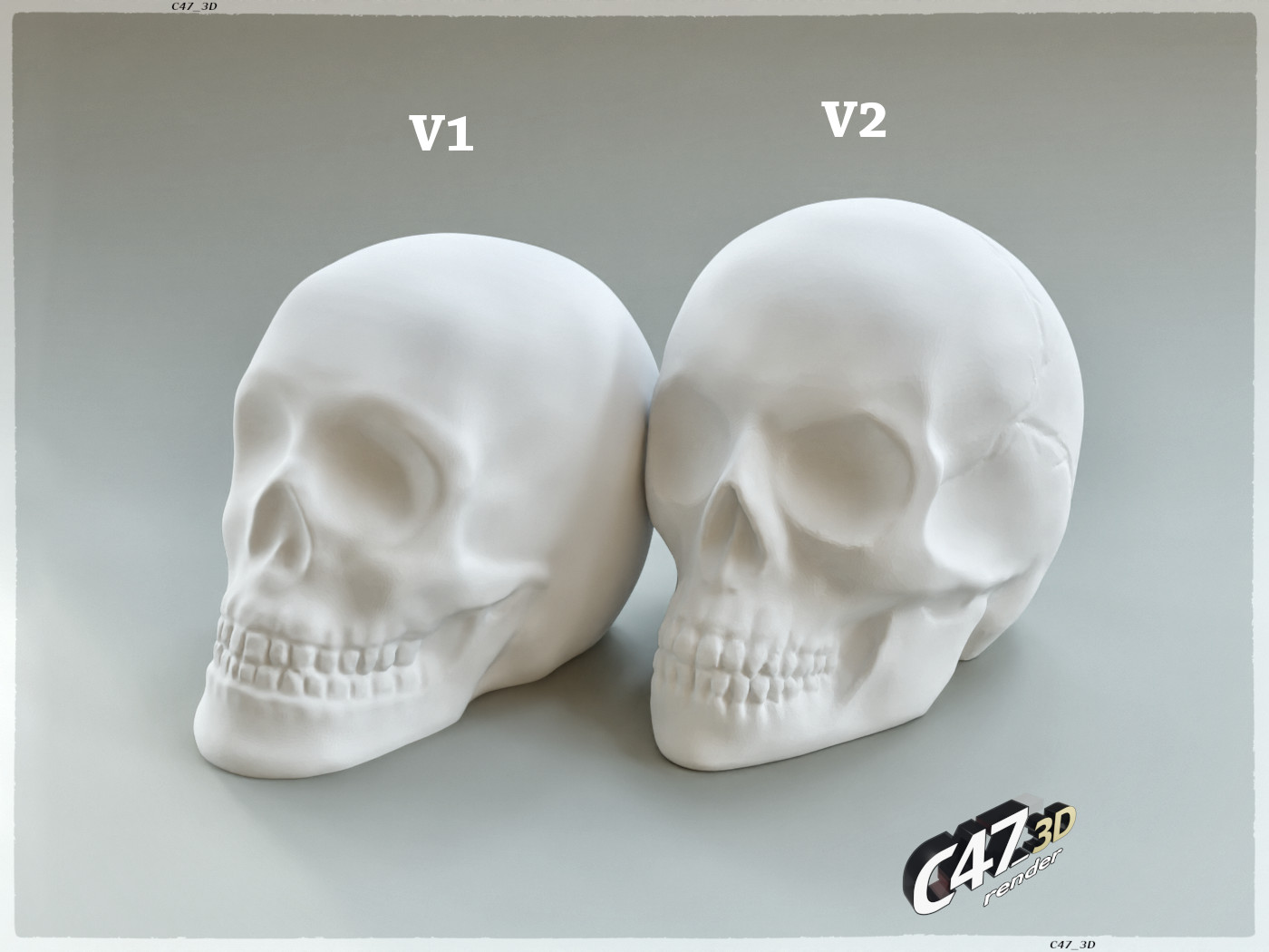 Skull Bowl - Vase mode by C47_3d | Download free STL model | Printables.com