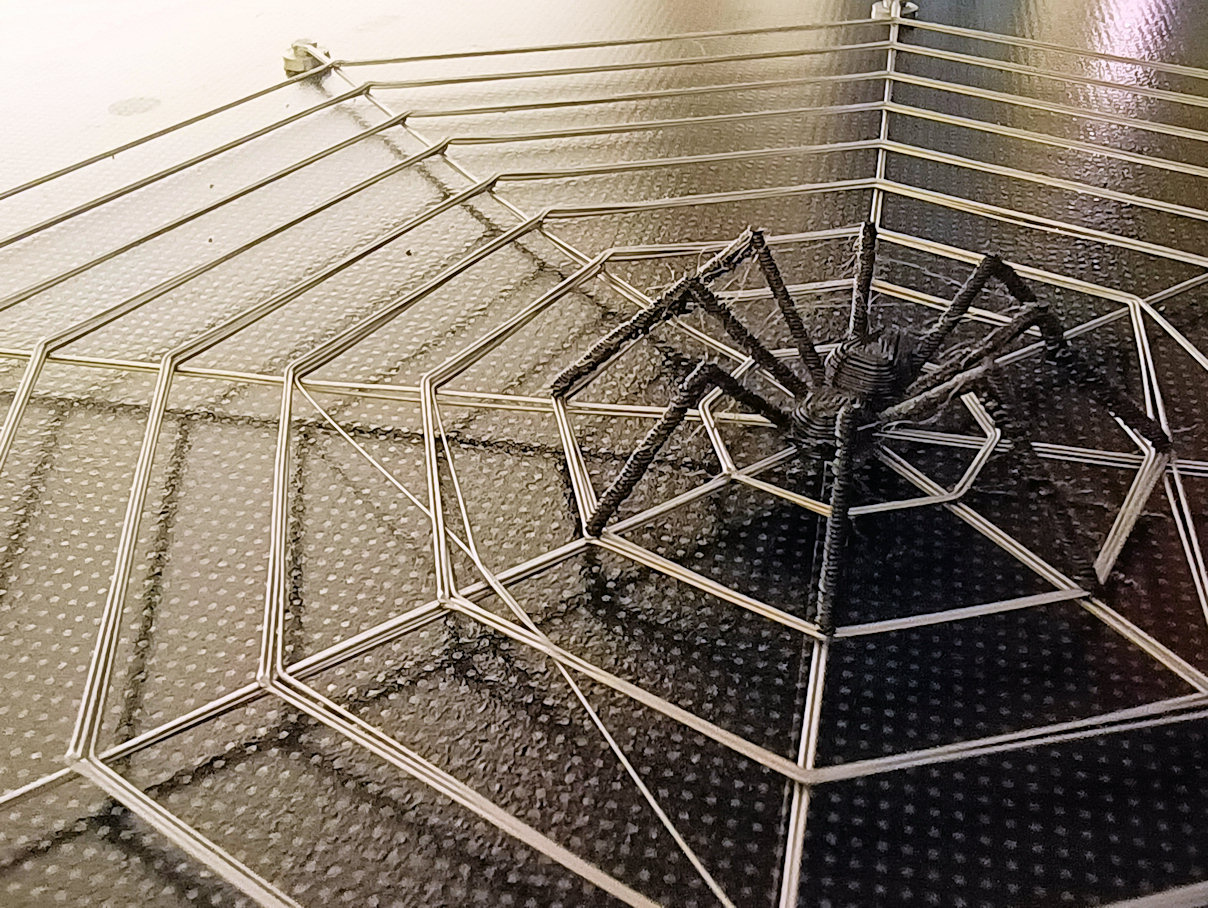Spider in a Web of "Strings" (Project) by Wim V | Download free STL ...