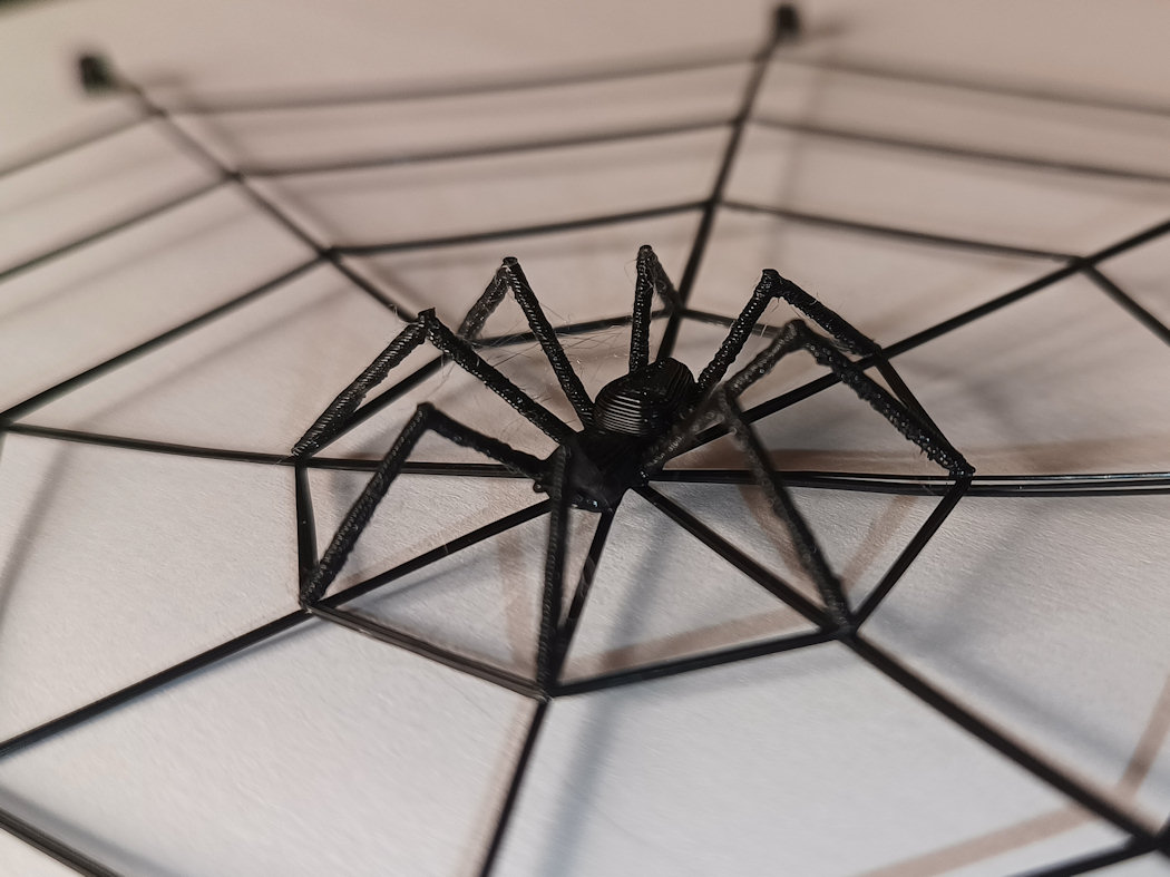Spider in a Web of "Strings" (Project) by Wim V | Download free STL ...