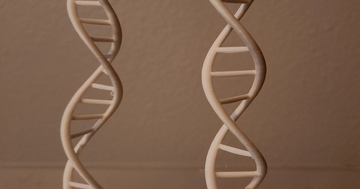 DNA models- Desktop Sized by Natural Advantage TT | Download free STL ...