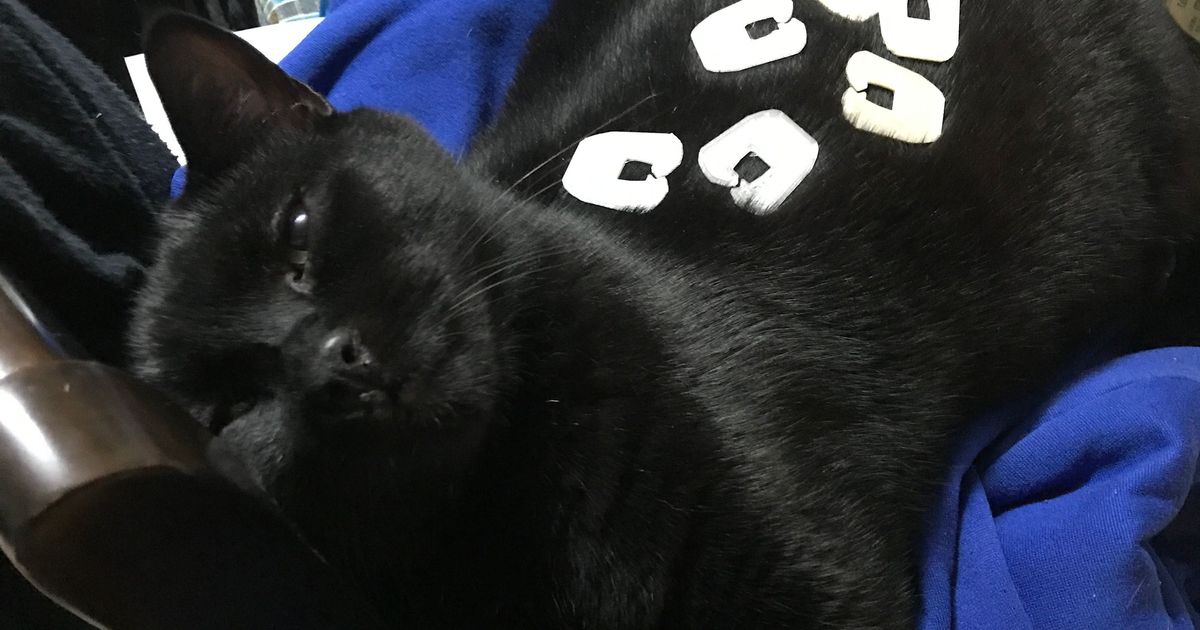 replacement Bread Tag for all the Lost and Broken ones by B._.render ...