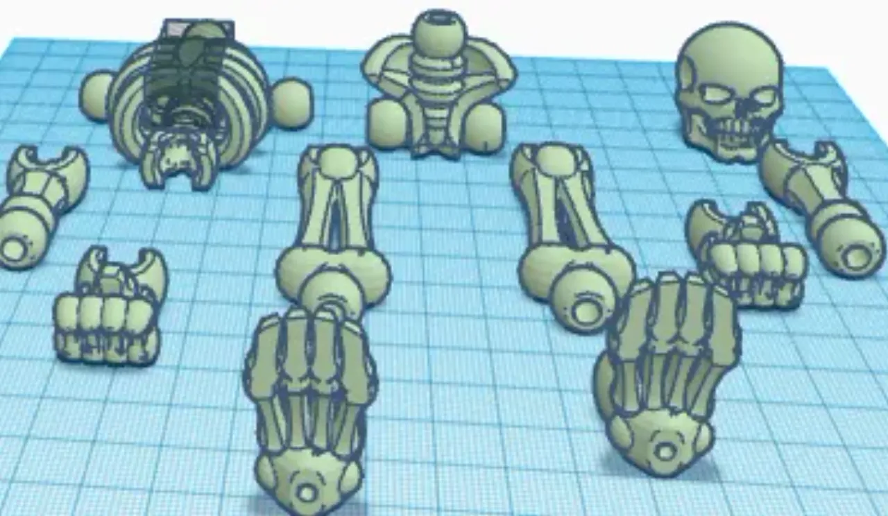 skeleton by Bennet | Download free STL model | Printables.com