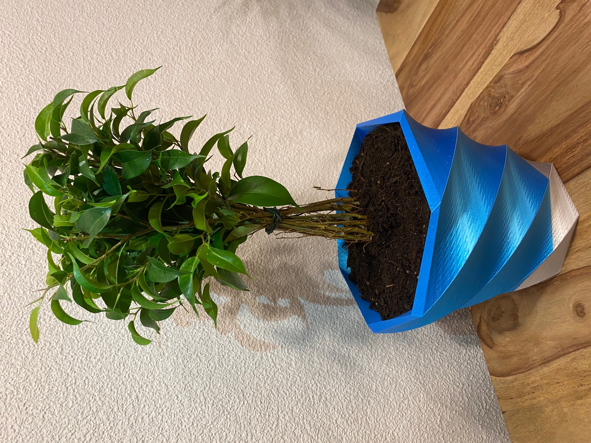 Plantpot with water drainage by Torben | Download free STL model ...