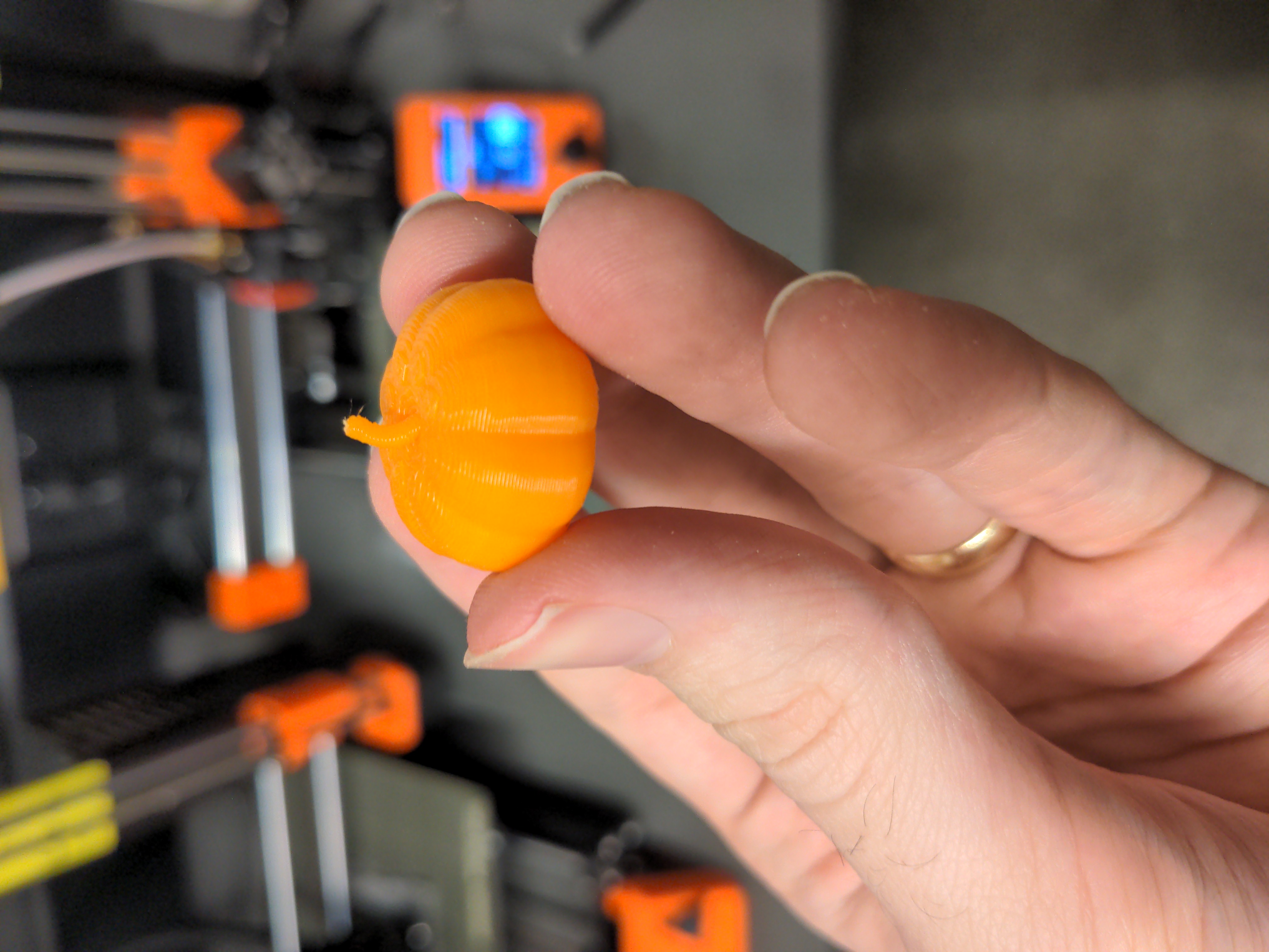 Small Pumpkin by biolore | Download free STL model | Printables.com