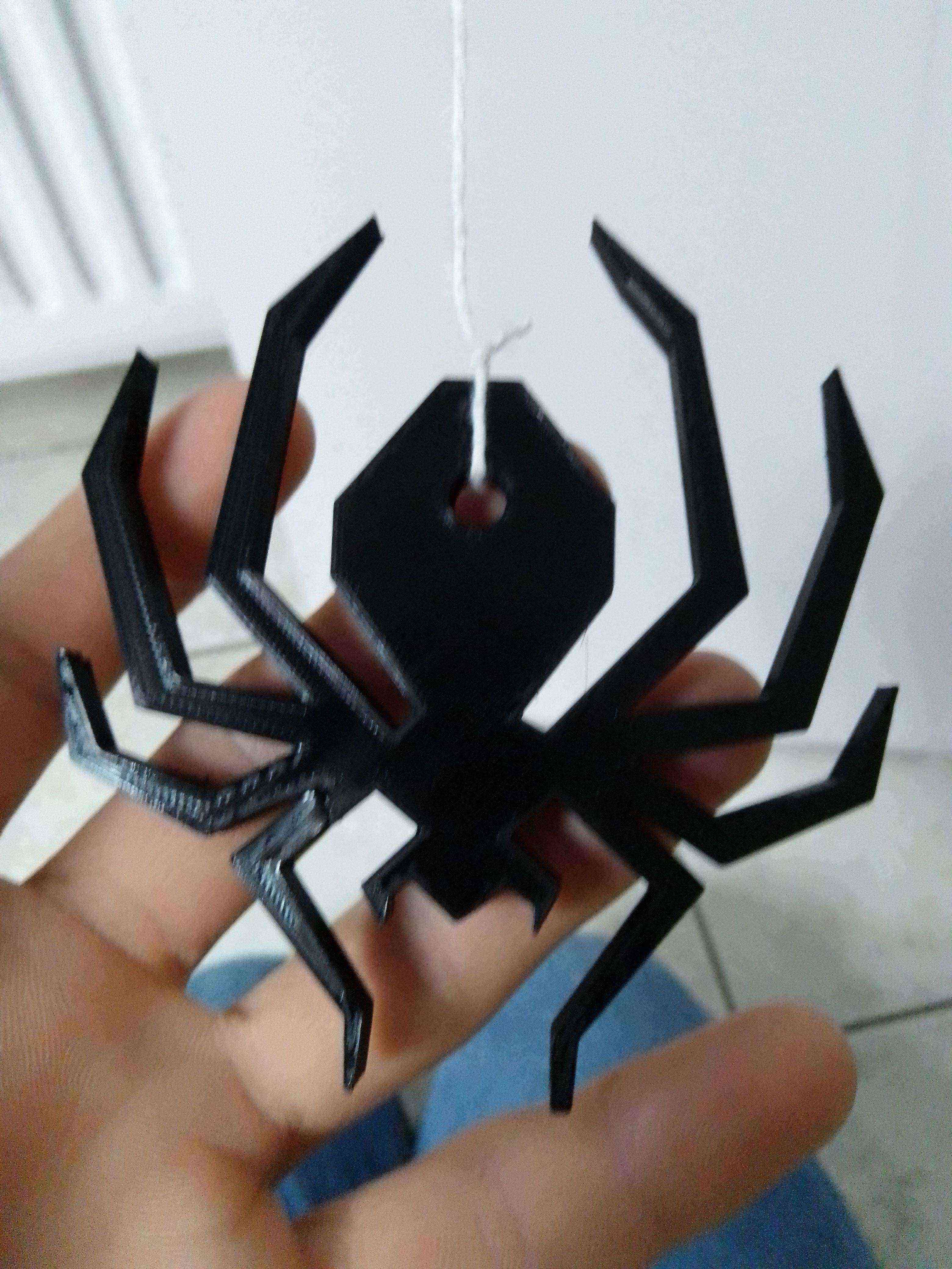 spider with a hole (diameter 6mm) by martijn geraerts | Download free ...