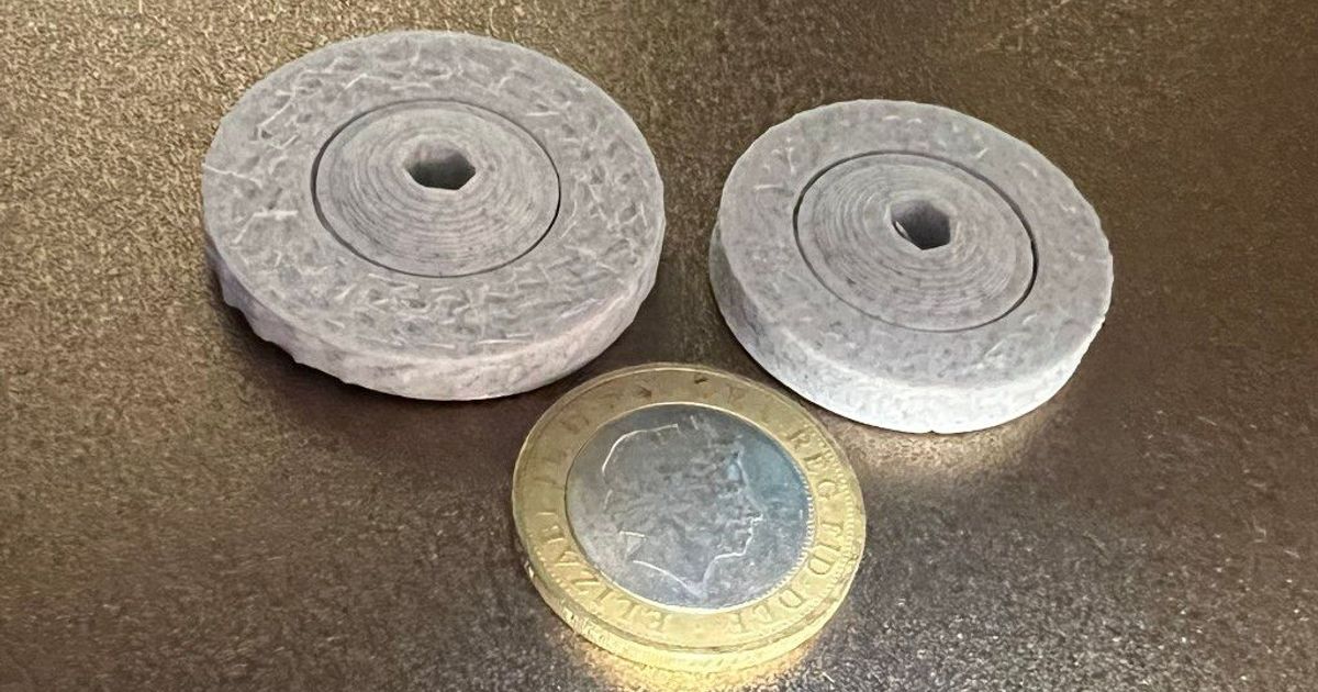 Spinner Coins by DuncanMac | Download free STL model | Printables.com