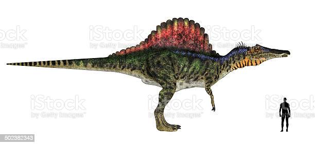 litofan spinozaur by Cezary Dinomaniak | Download free STL model ...