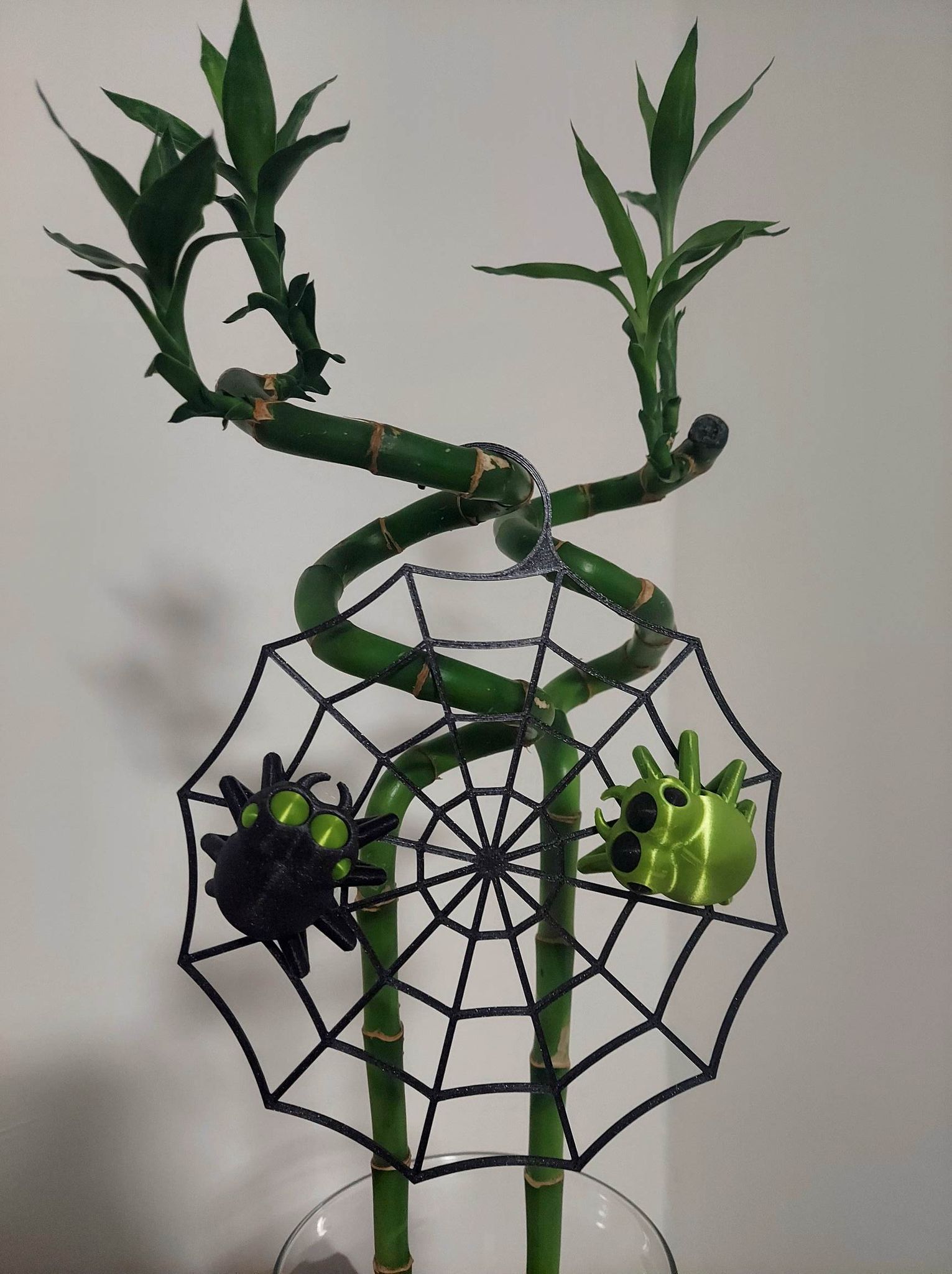 Web for Gizo the Spider by Hukan | Download free STL model | Printables.com