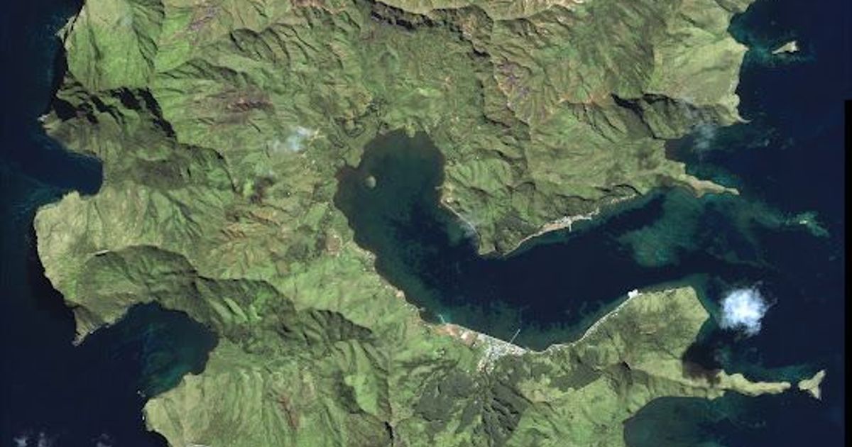 rapa iti by Yabousa | Download free STL model | Printables.com