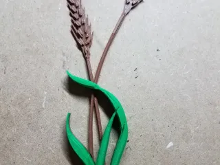 Wheat by Tech_Outreach | Download free STL model | Printables.com