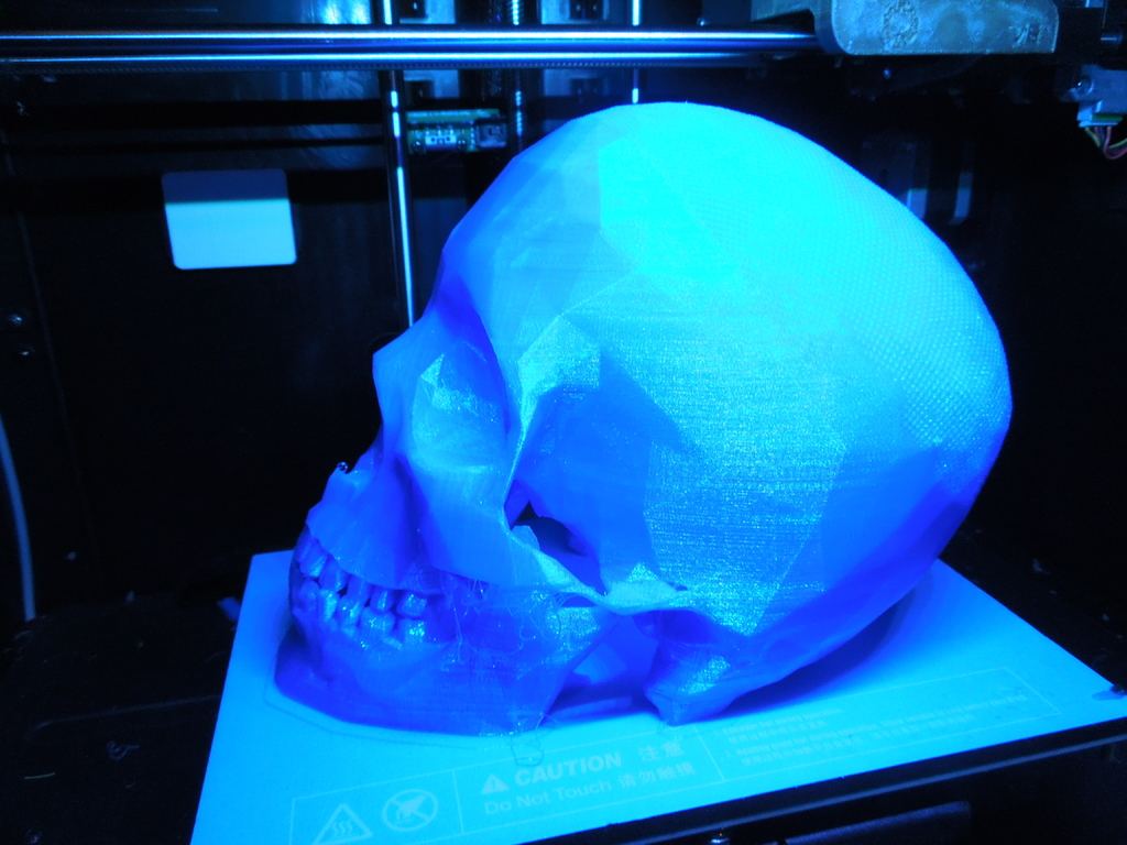 Customizable Stereographic Skull v3 by threonin | Download free STL ...