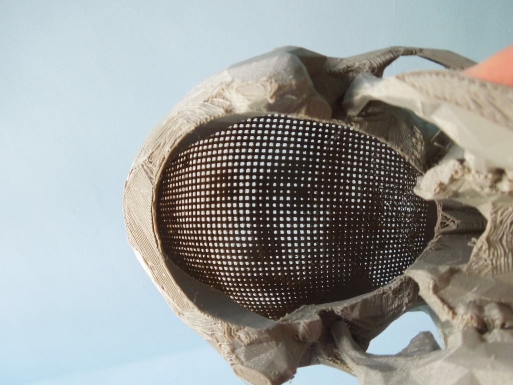 Customizable Stereographic Skull lowres by threonin | Download free STL ...