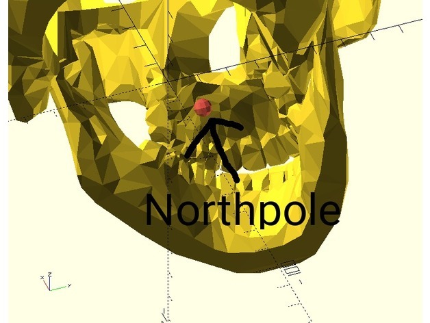 Customizable Stereographic Skull lowres by threonin | Download free STL ...
