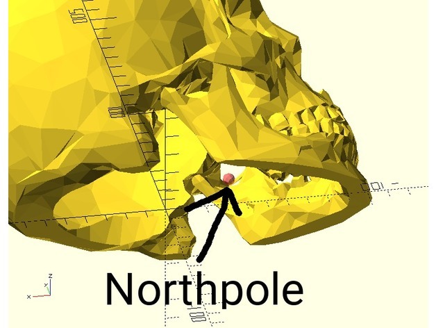 Customizable Stereographic Skull lowres by threonin | Download free STL ...