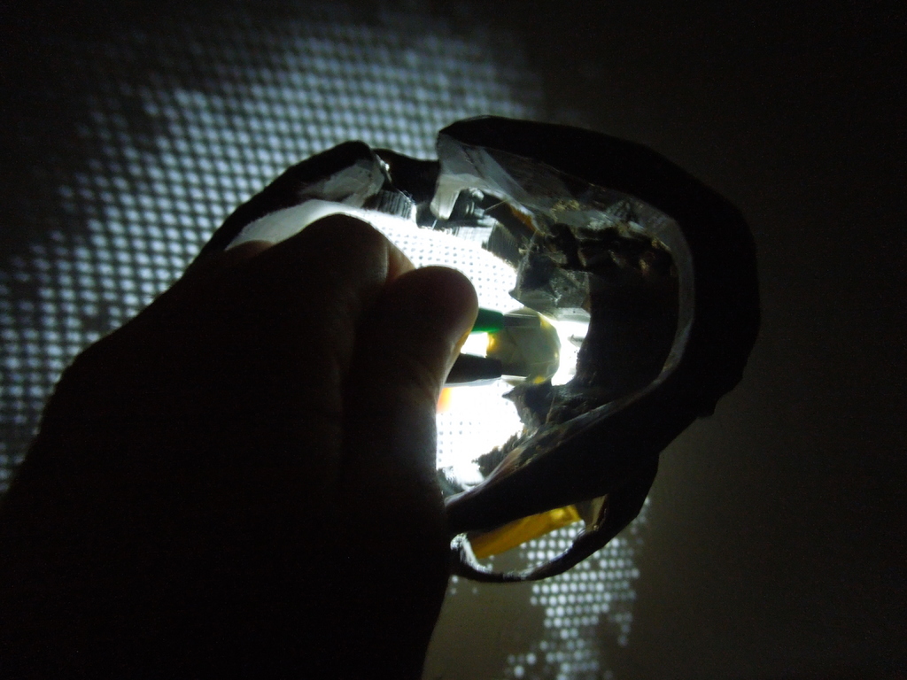 Customizable Stereographic Skull lowres by threonin | Download free STL model | Printables.com