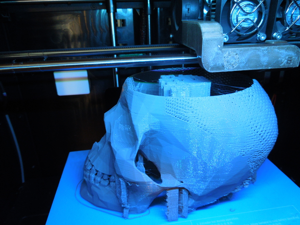 Customizable Stereographic Skull lowres by threonin | Download free STL ...