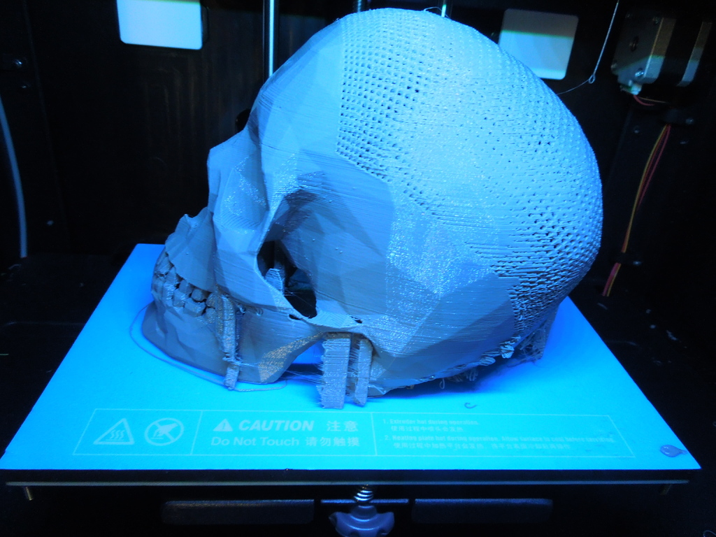 Customizable Stereographic Skull lowres by threonin | Download free STL ...