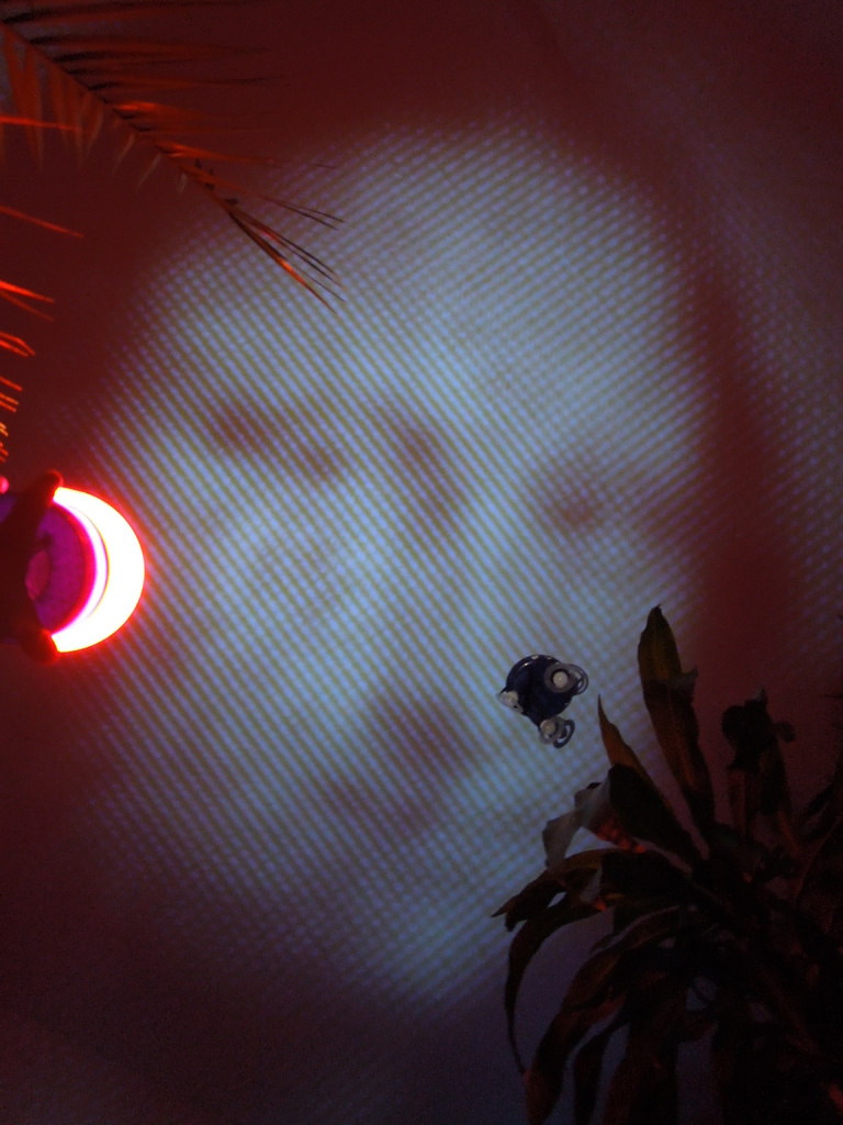 Mona Lisa Stereographic Projector by threonin | Download free STL model ...