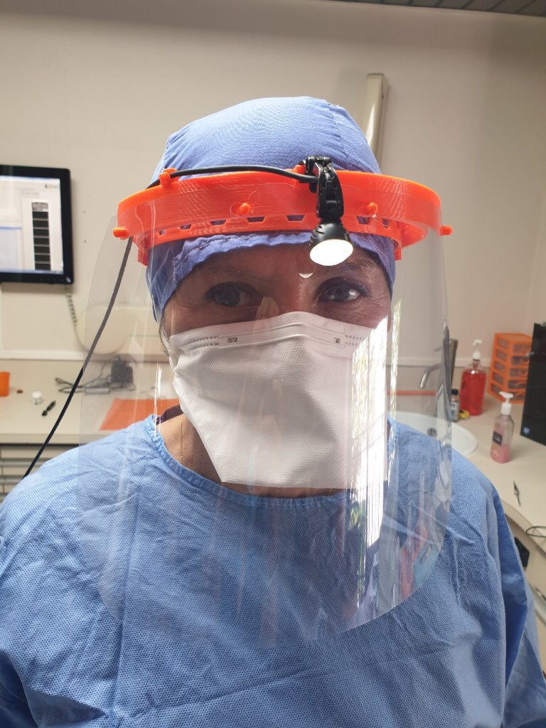 Prusa Face Shield for Dentist by Fromzy | Download free STL model ...