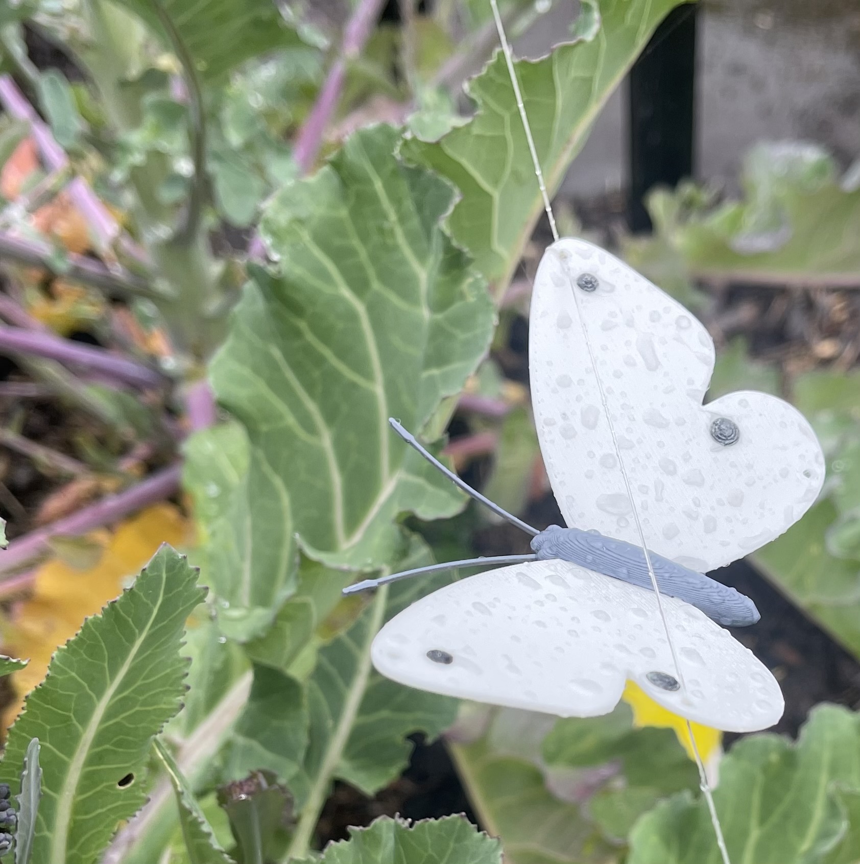 Cabbage Moth Butterfly Scarecrow Decoy (Pieris rapae) by Snowballs ...