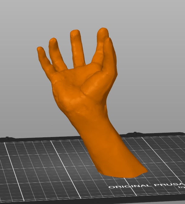 3d Scanned Hand by cmazz | Download free STL model | Printables.com